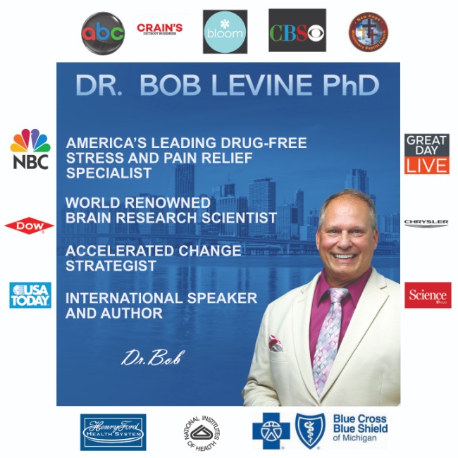 Dr Bob